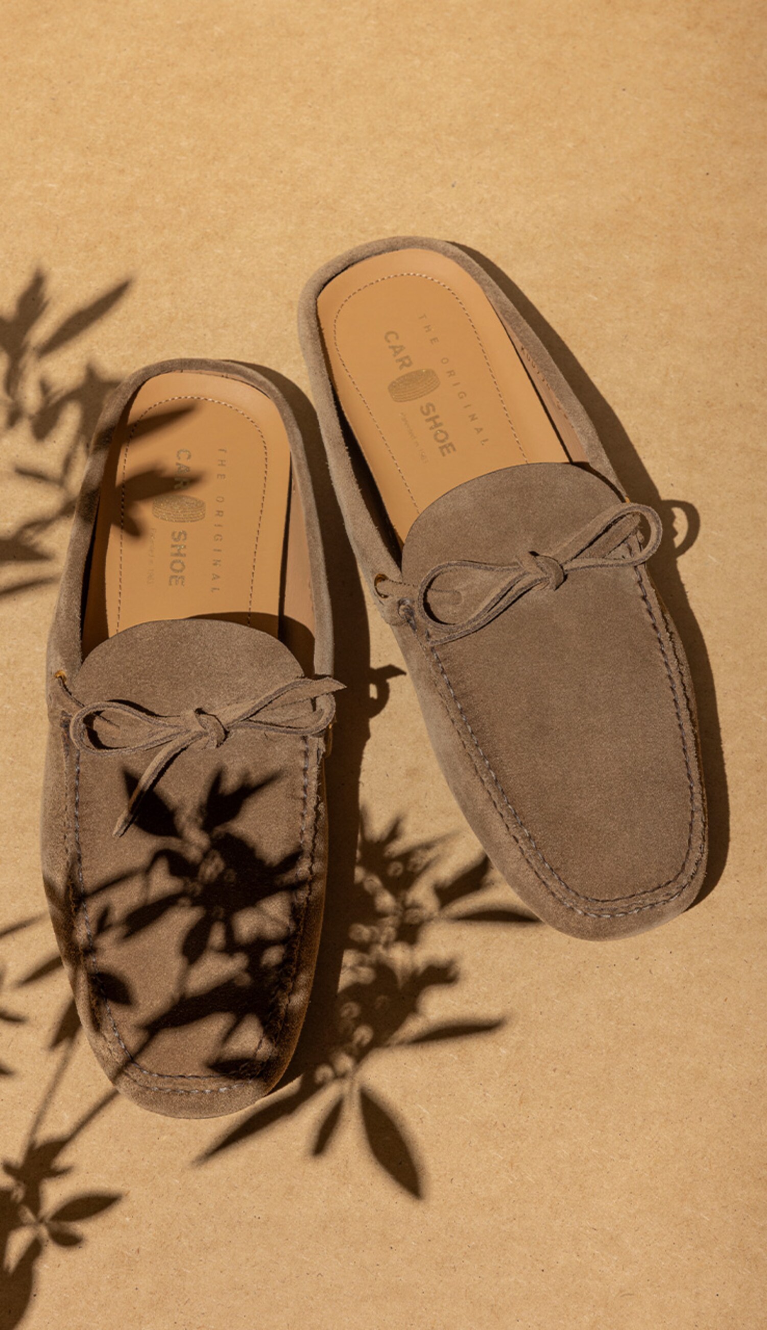 An archival design inspires a